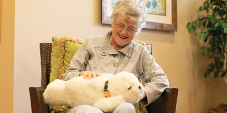 Innovative Senior Solutions and Technology | Summer House at Vista del ...